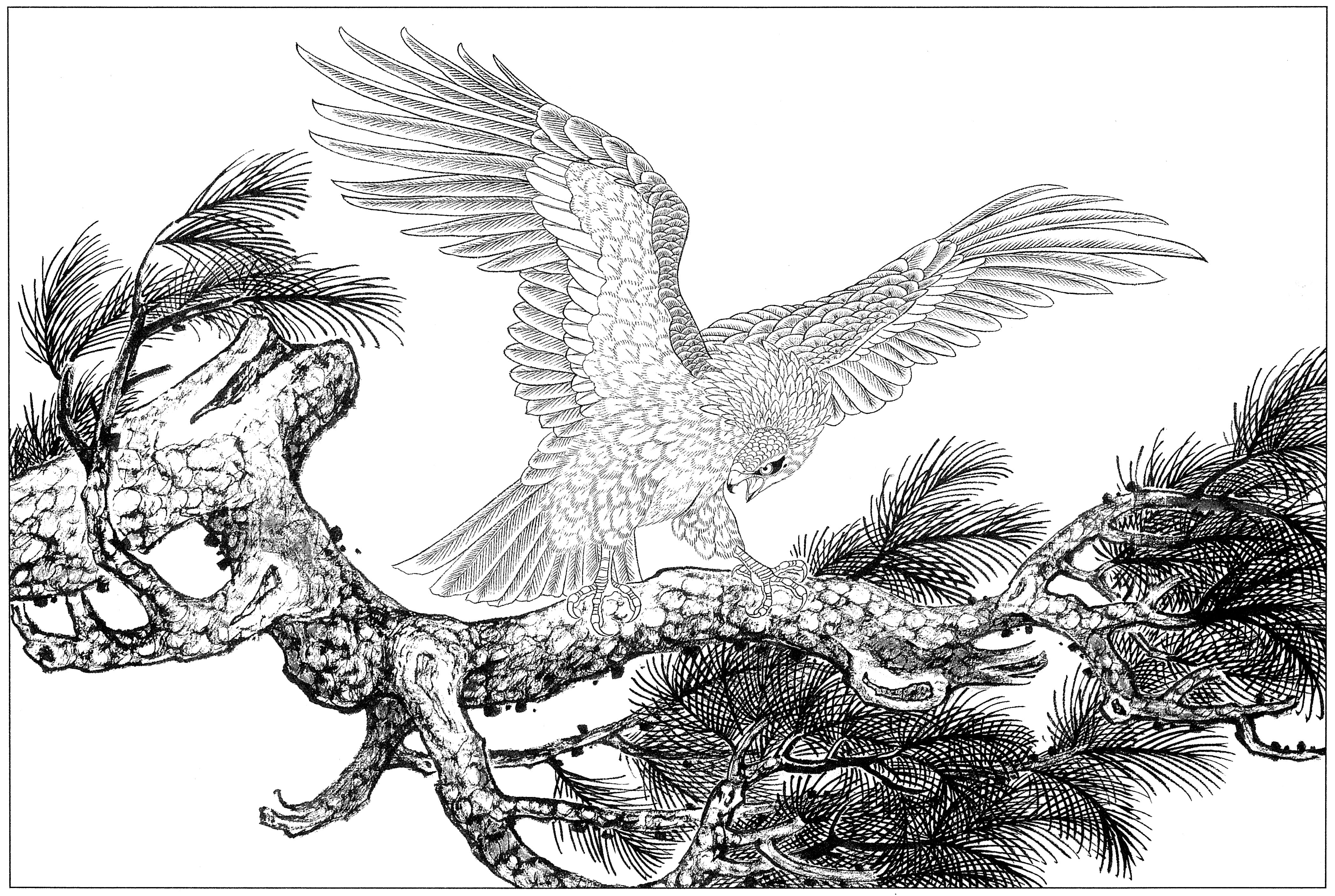 Majestic Eagles in Chinese Ink Wash Painting: A Visual Appreciation ...